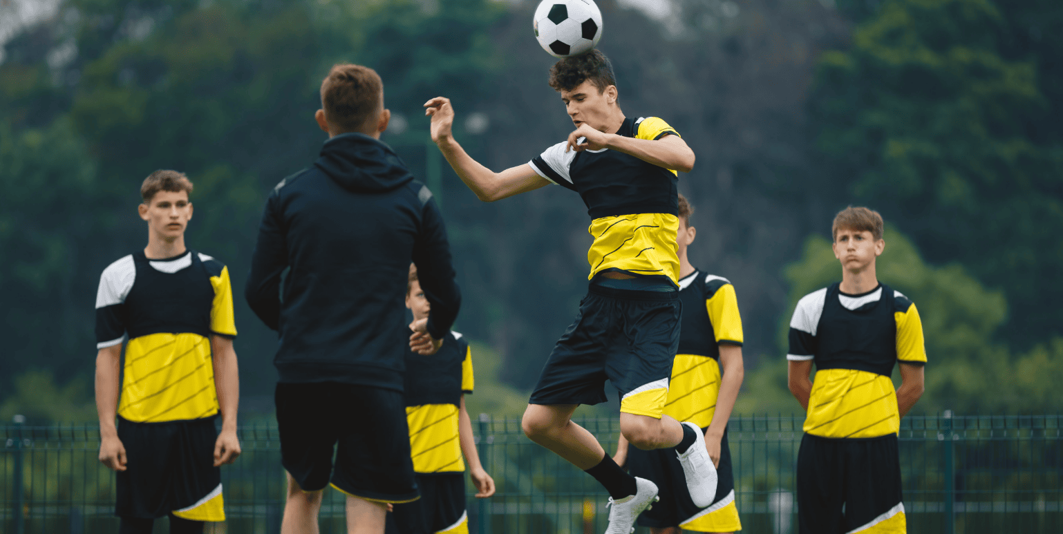Concussion Subtype Classifications, by Stanford Brain Performance ...